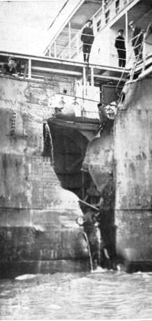 RFA Cherryleaf | Historical RFA